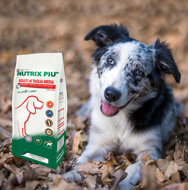 Nutrix Piu Dog Food – Nutrix Piu'
